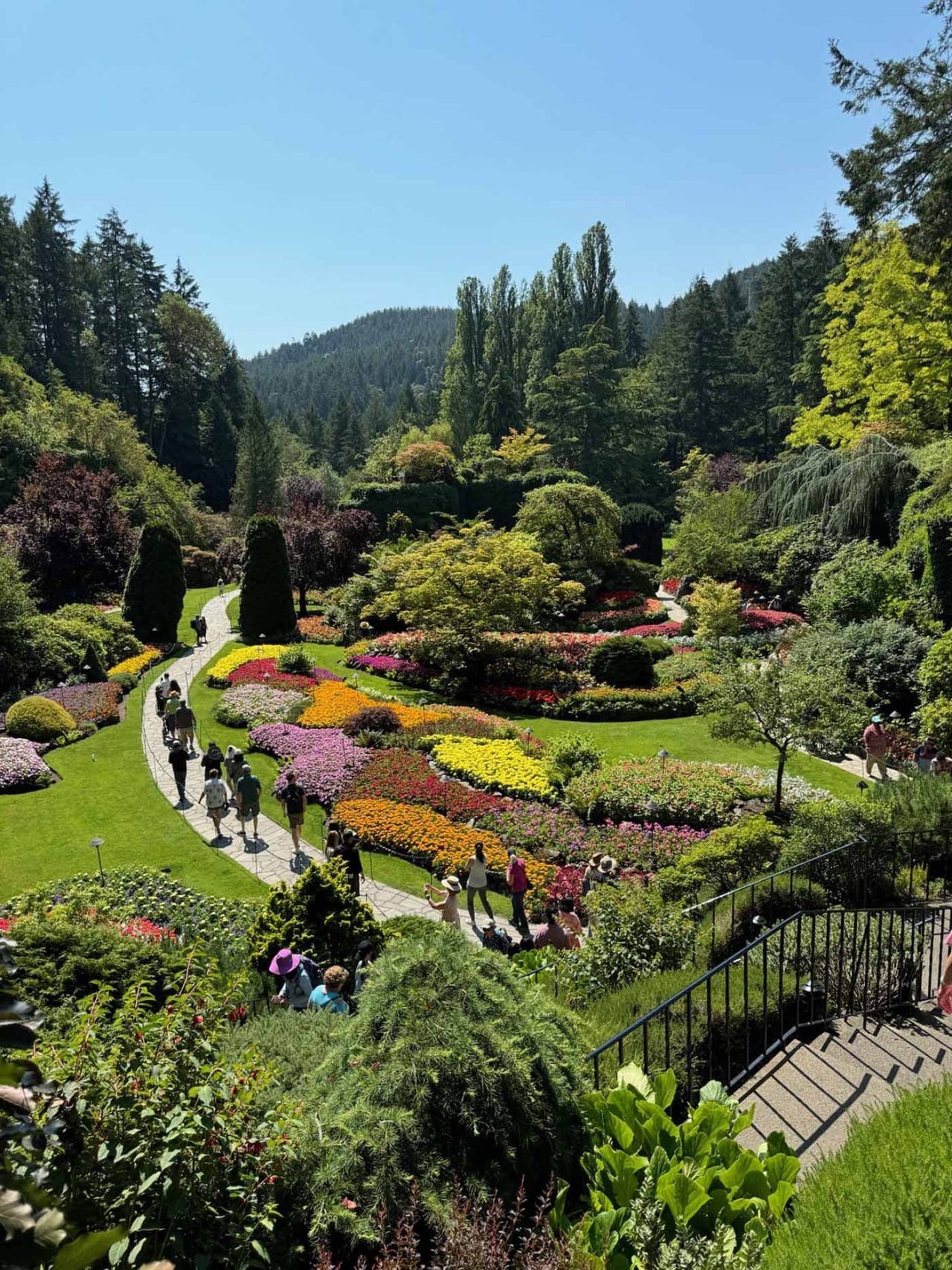 Vancouver Island Tours & Transportation | Surfside Adventure Tours