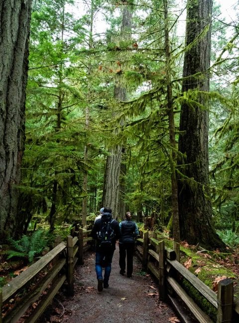 Vancouver Island Tours & Transportation | Surfside Adventure Tours