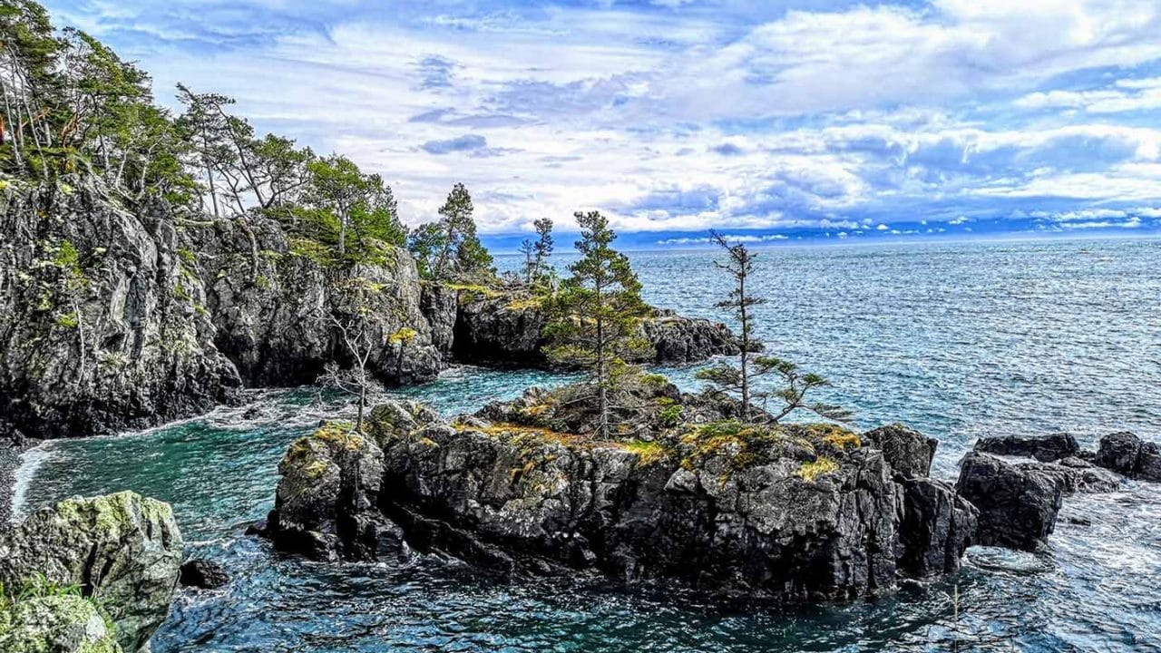 Explore Surfside Adventure Tours Vancouver Island Tour Packages