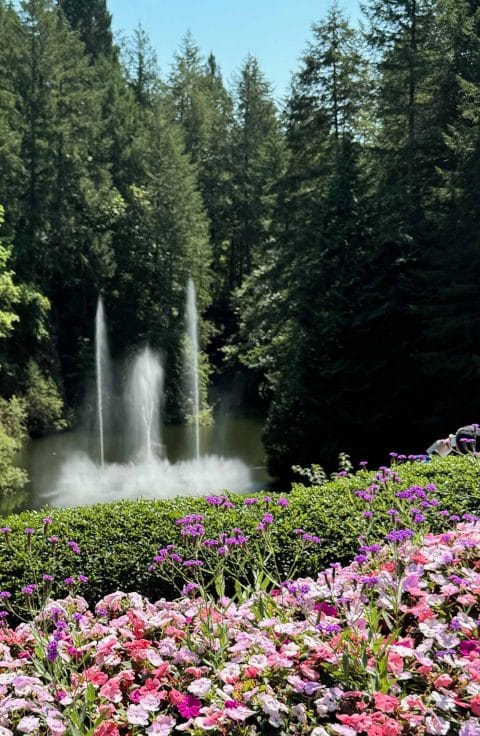 Vancouver Island Tours & Transportation | Surfside Adventure Tours